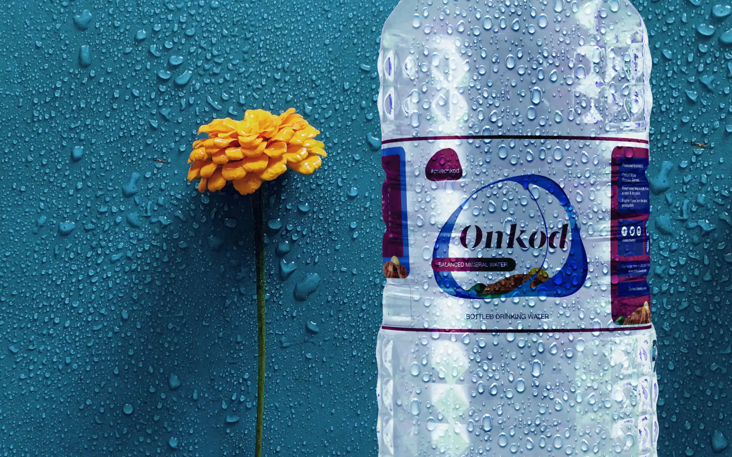Brand Visual Identity & Packaging for a Bottled Water Brand